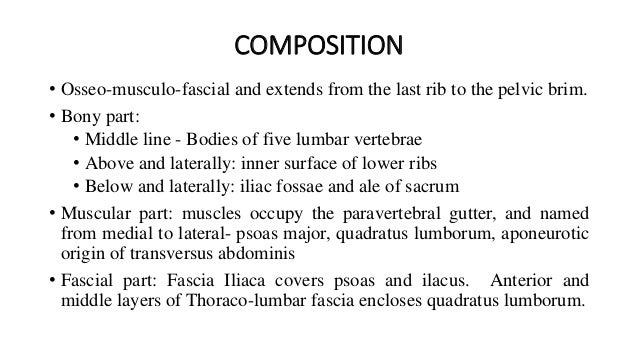 Posterior abdominal wall.pptx
