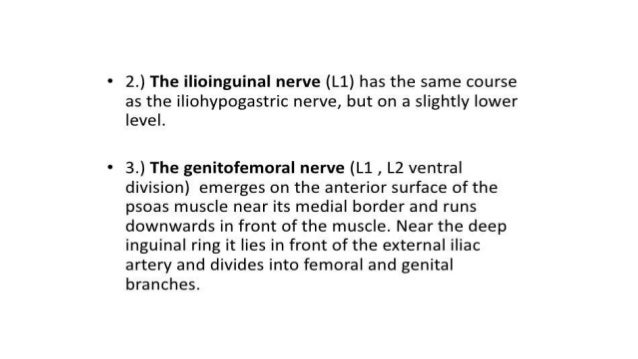 Posterior abdominal wall.pptx