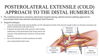 Posterior approach to elbow | PPTX