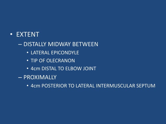 Posterior approach to humerus | PPTX