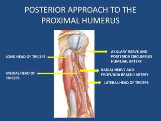 Posterior approach to humerus | PPTX