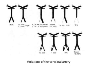 Posterior brain arterial circulation | PPTX