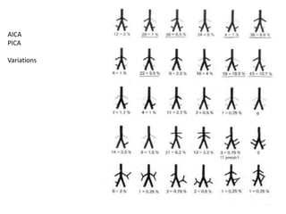 Posterior brain arterial circulation | PPTX