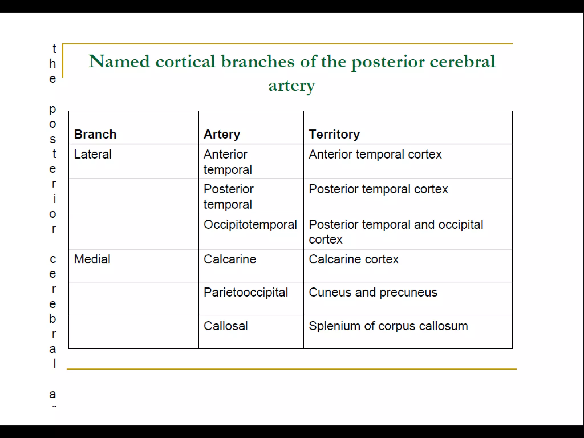 Posterior circulation stroke Syndromes | PPTX