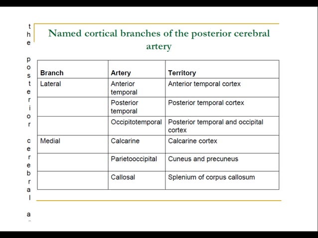 Posterior circulation stroke Syndromes | PPTX | Brain and Nervous ...