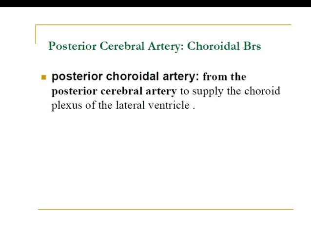 Posterior circulation stroke Syndromes | PPTX | Brain and Nervous ...