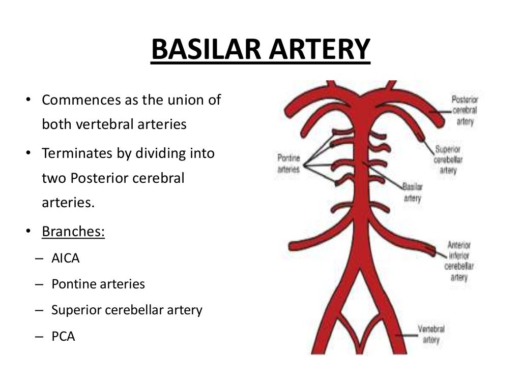 Posterior circulation stroke Syndromes