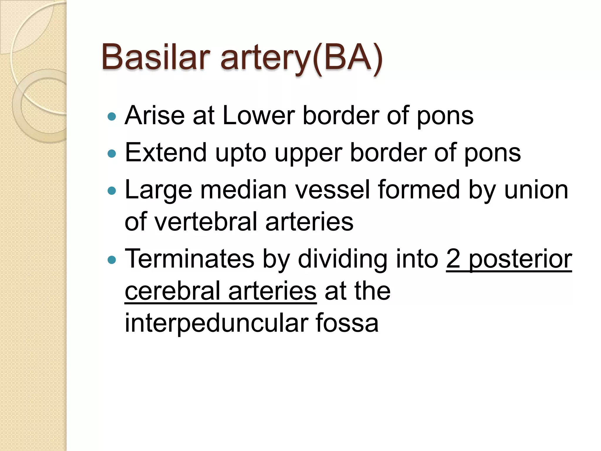Posterior cerebral circulation - Gross Anatomy | PPTX