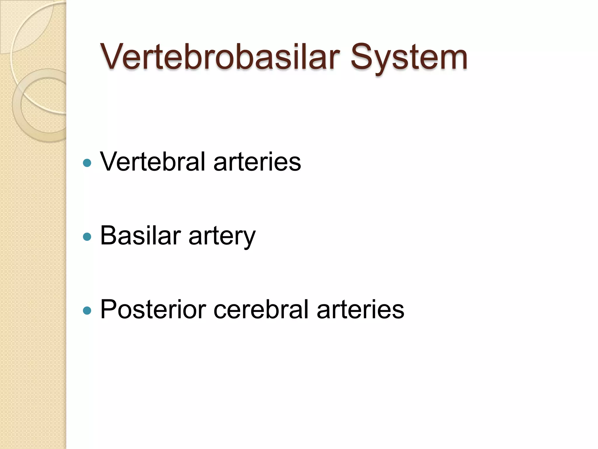 Posterior cerebral circulation - Gross Anatomy | PPTX