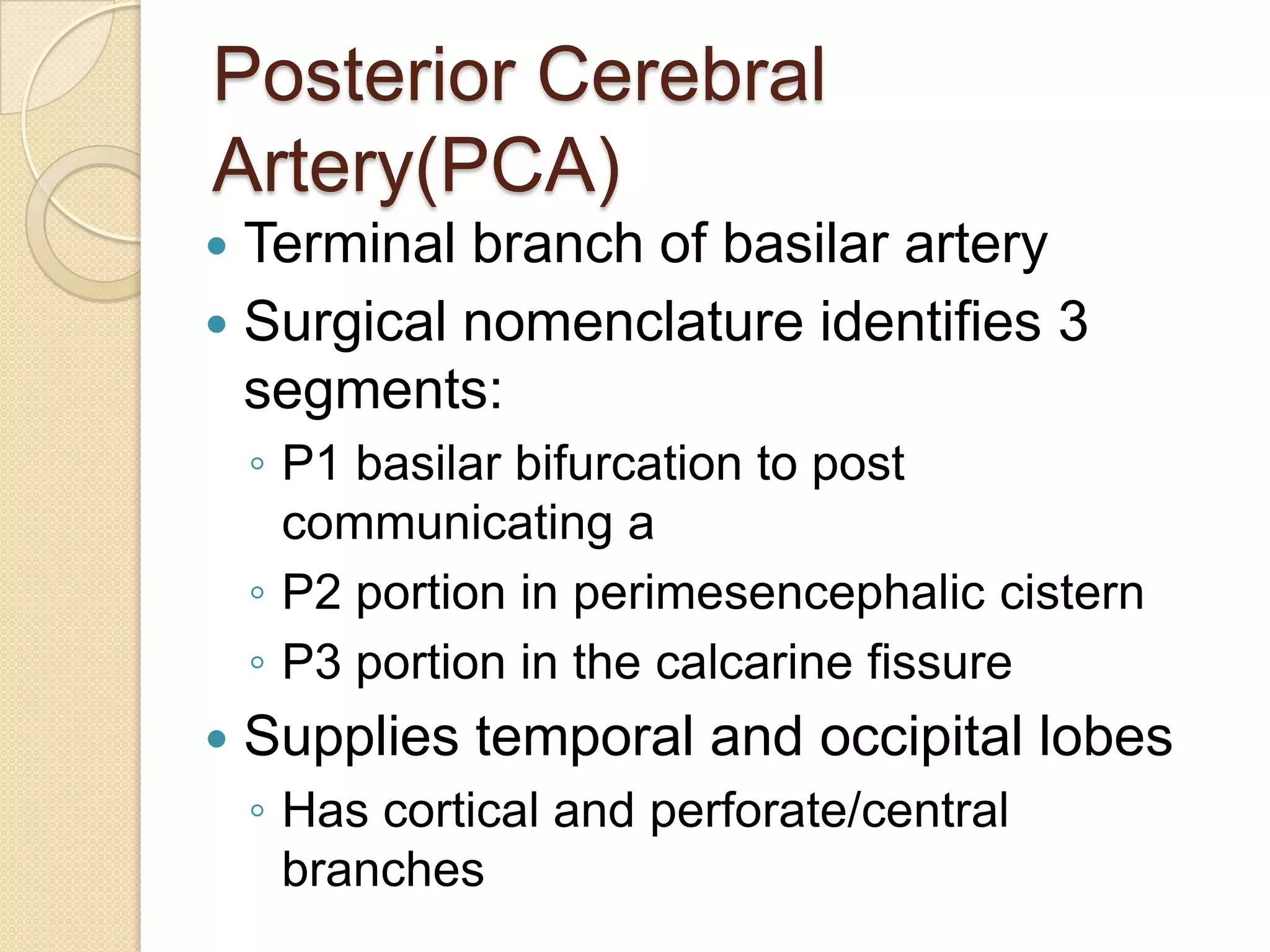 Posterior cerebral circulation - Gross Anatomy | PPTX