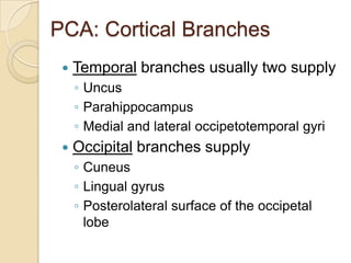Posterior cerebral circulation - Gross Anatomy | PPTX