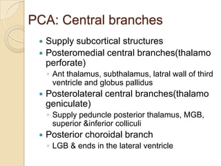 Posterior cerebral circulation - Gross Anatomy | PPTX