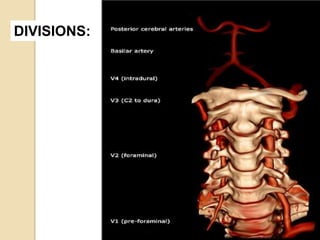 Posterior cerebral circulation - Gross Anatomy | PPTX