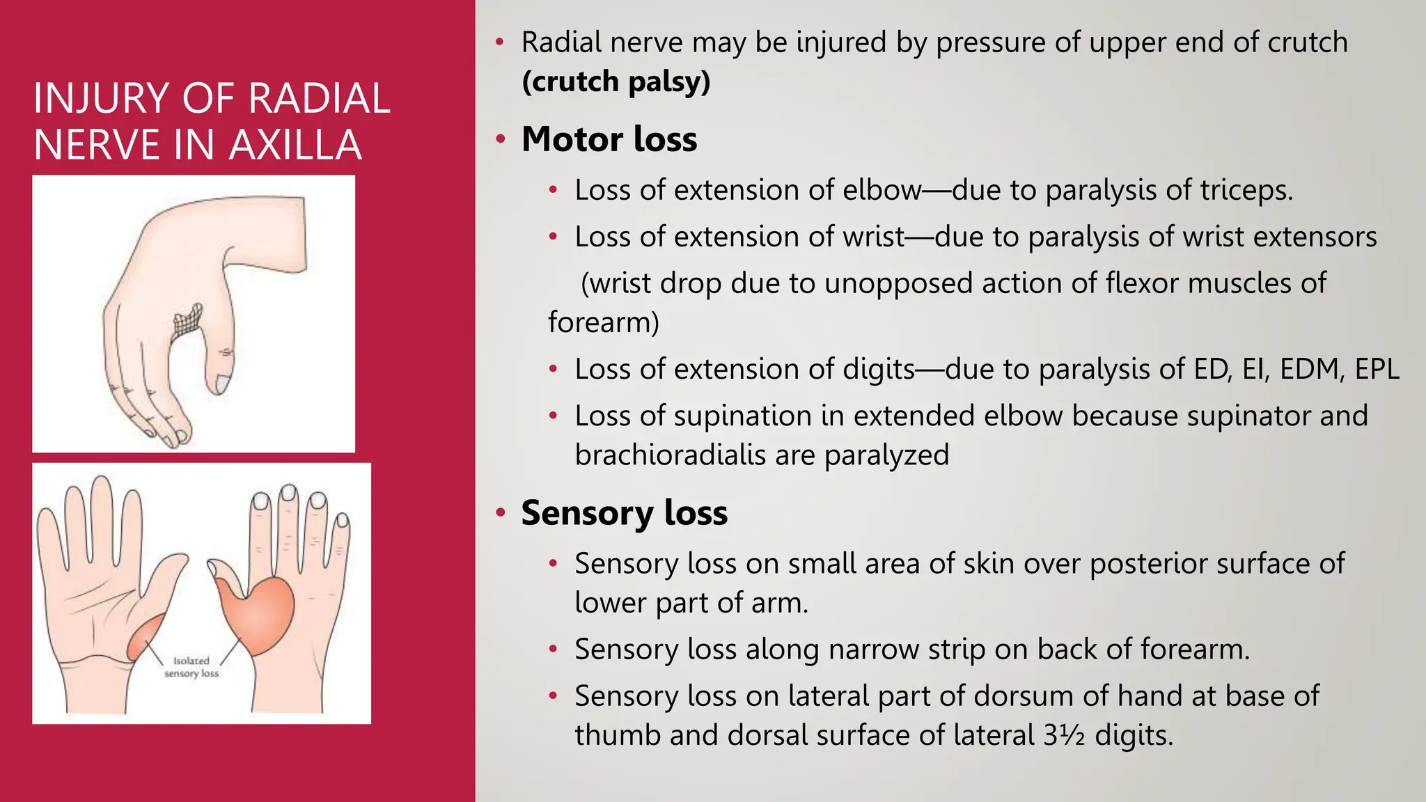 Posterior compartment of arm & forearm.pptx