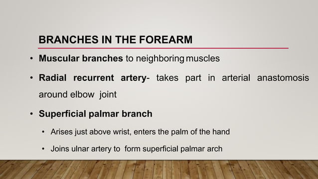 Posterior compartment of arm & forearm.pptx