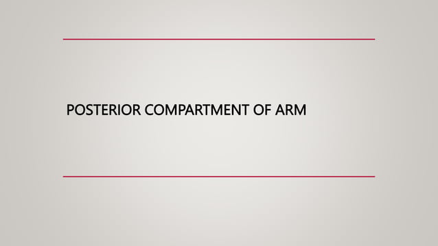 Posterior compartment of arm & forearm.pptx