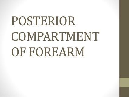 Posterior compartment of Forearm.pptx