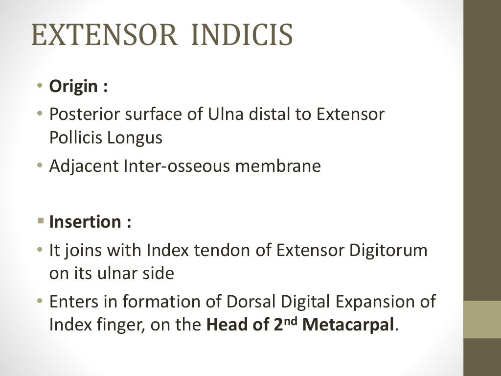 Posterior compartment of Forearm.pptx