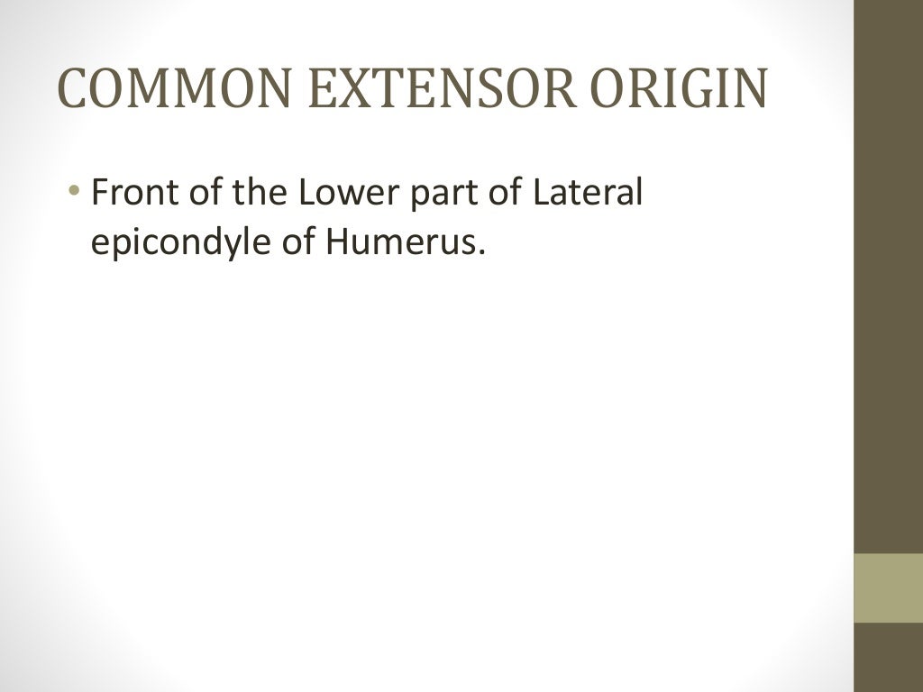 Posterior compartment of Forearm.pptx
