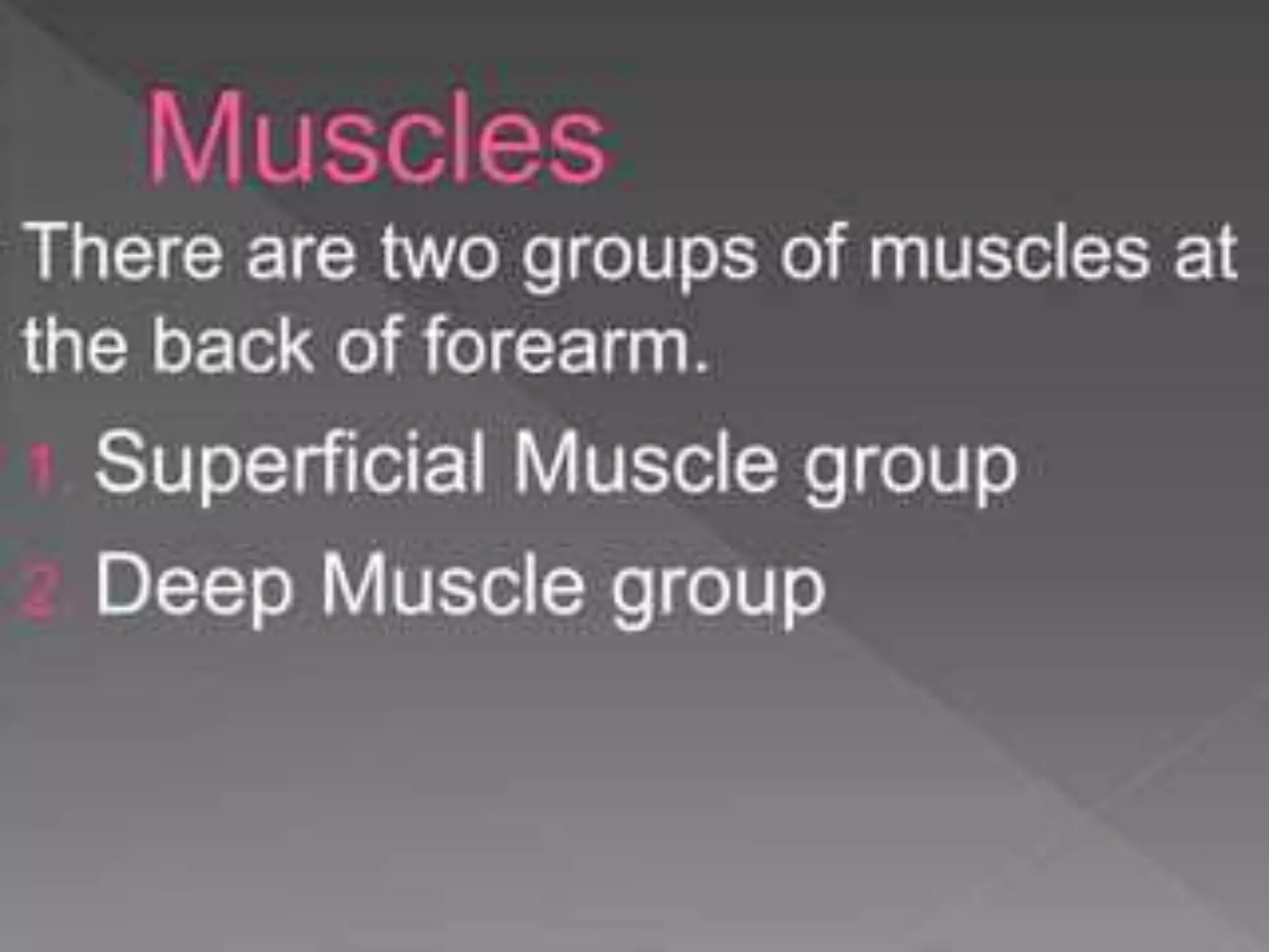 POSTERIOR COMPARTMENT OF FOREARM.ppt