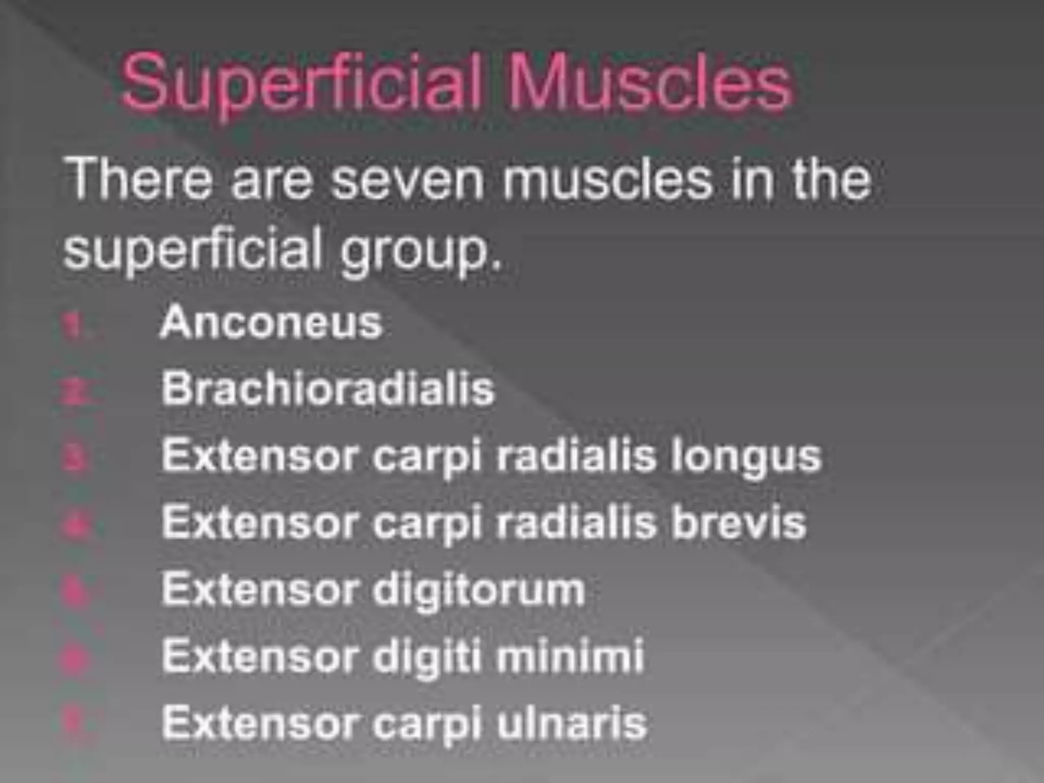 POSTERIOR COMPARTMENT OF FOREARM.ppt
