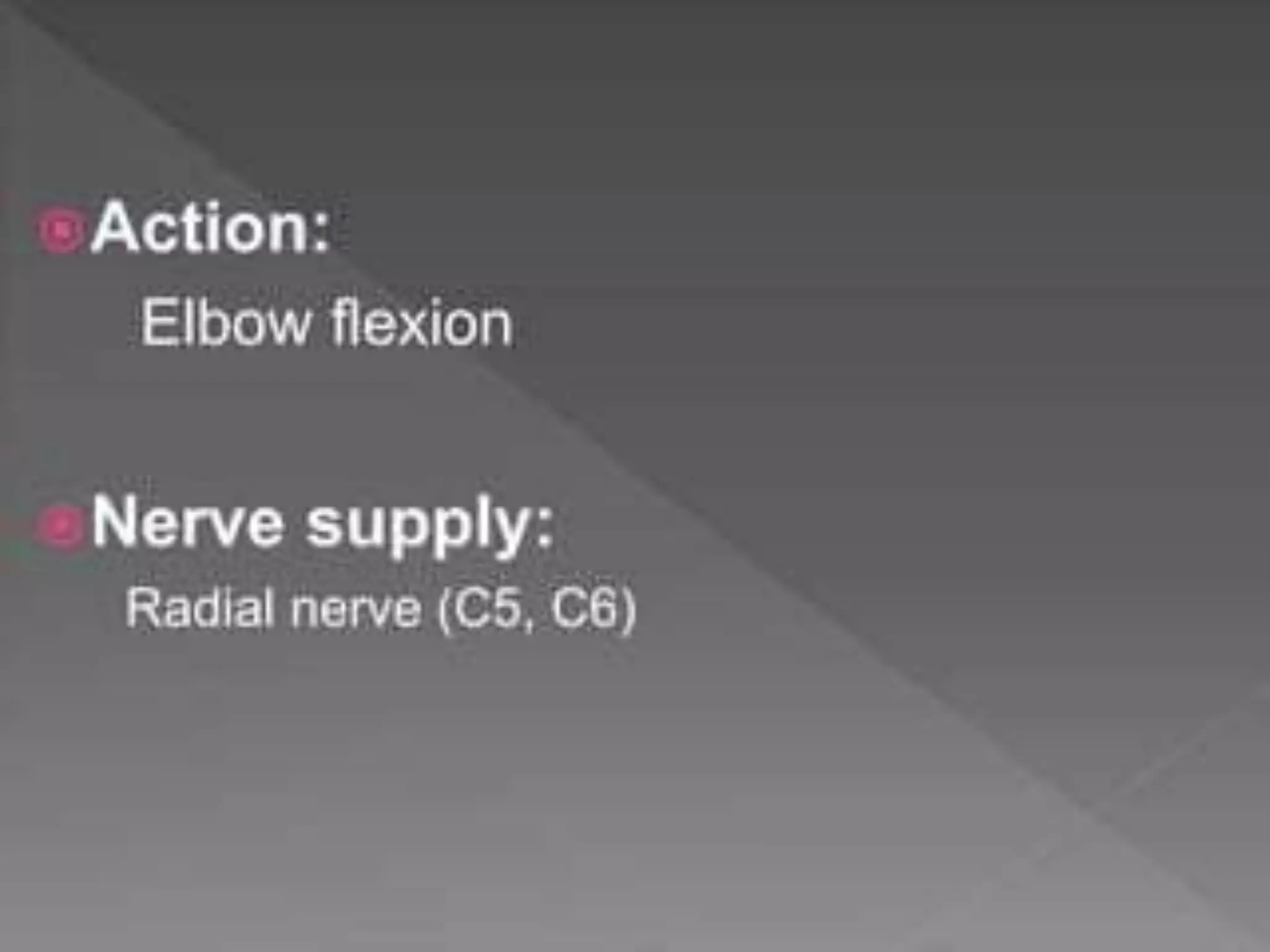 POSTERIOR COMPARTMENT OF FOREARM.ppt