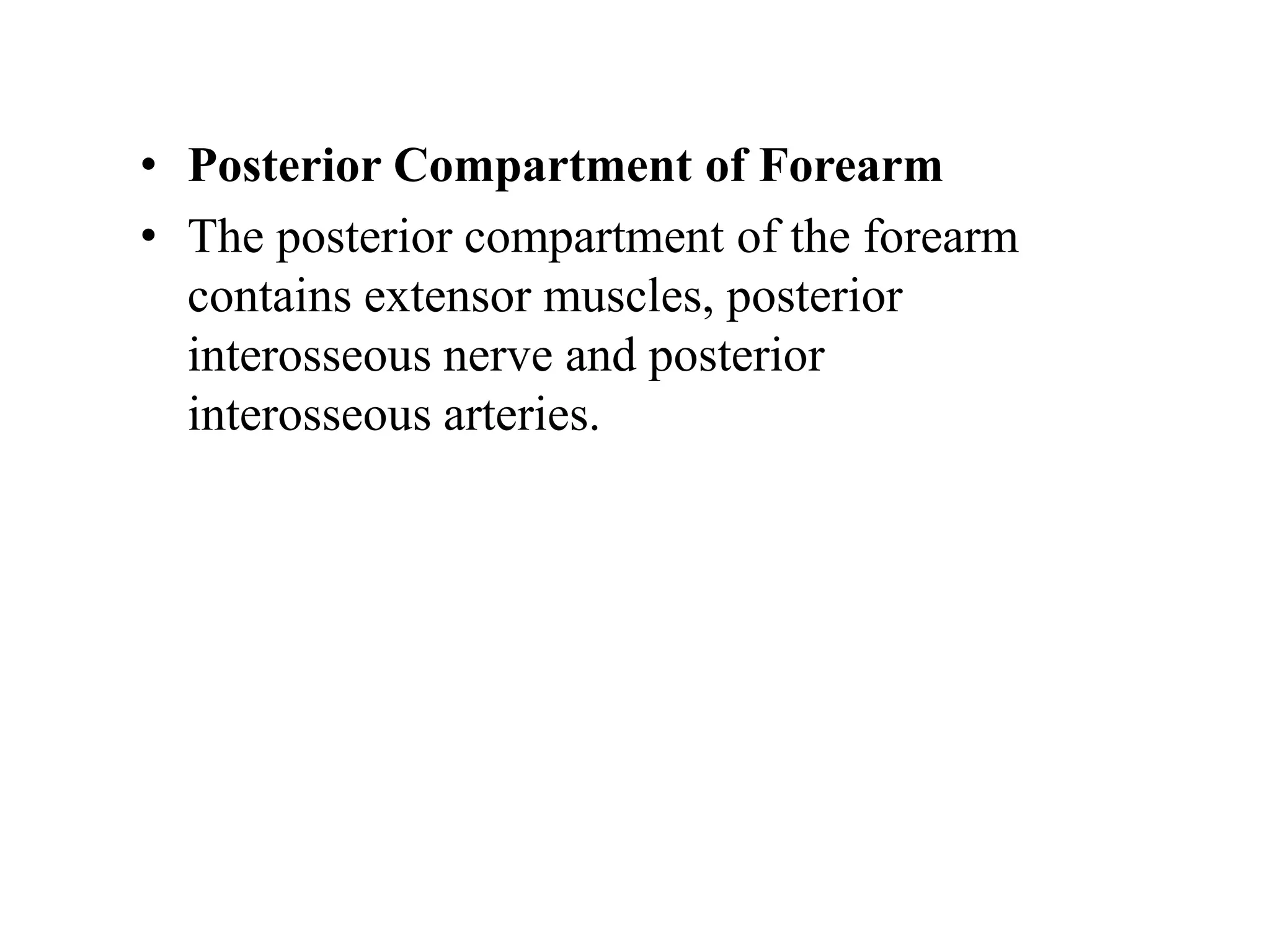 POSTERIOR COMPARTMENT OF FOREARM.pptx