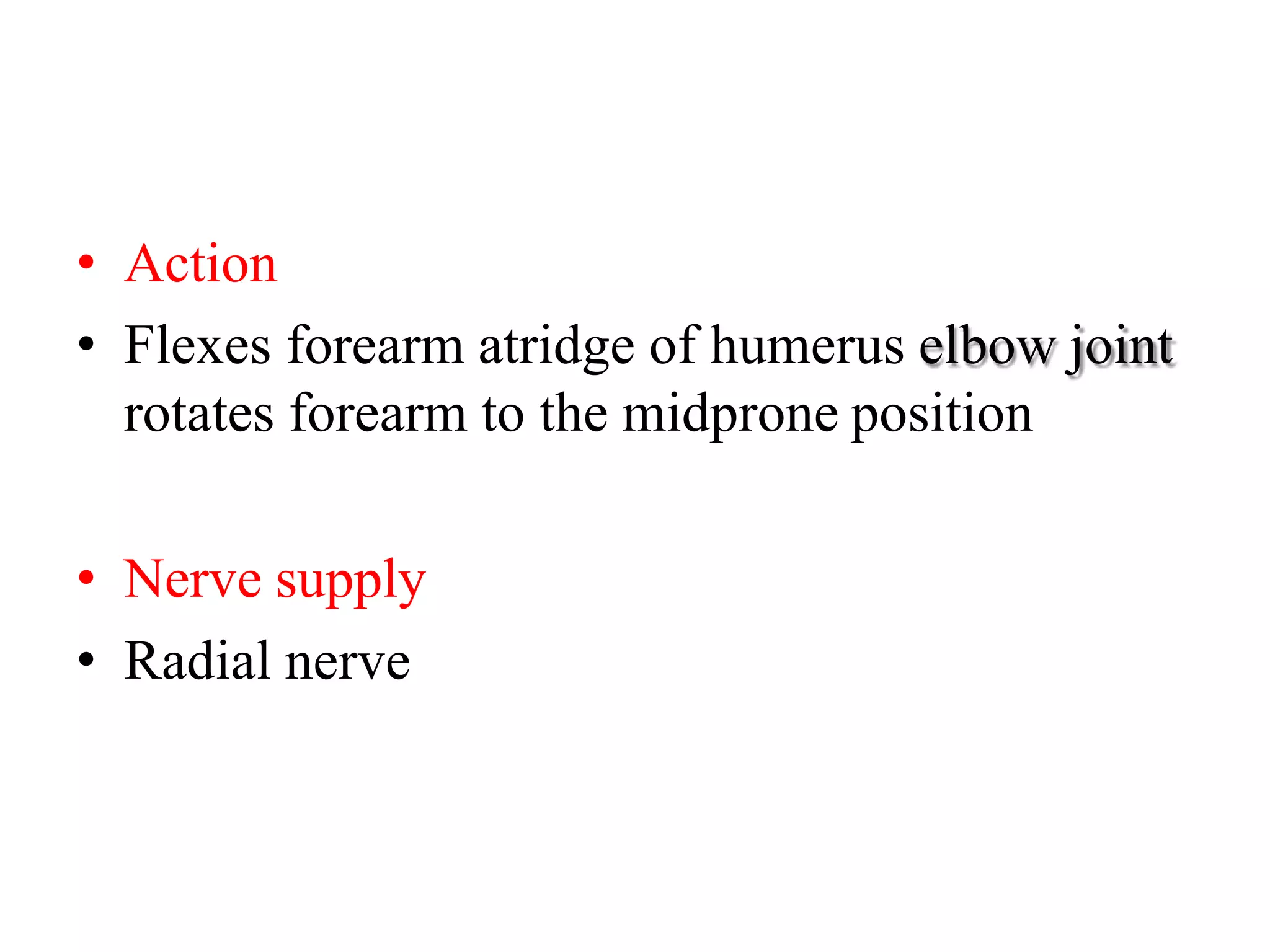 POSTERIOR COMPARTMENT OF FOREARM.pptx
