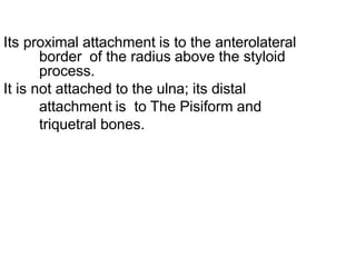 POSTERIOR COMPARTMENT OF FOREARM.pptx