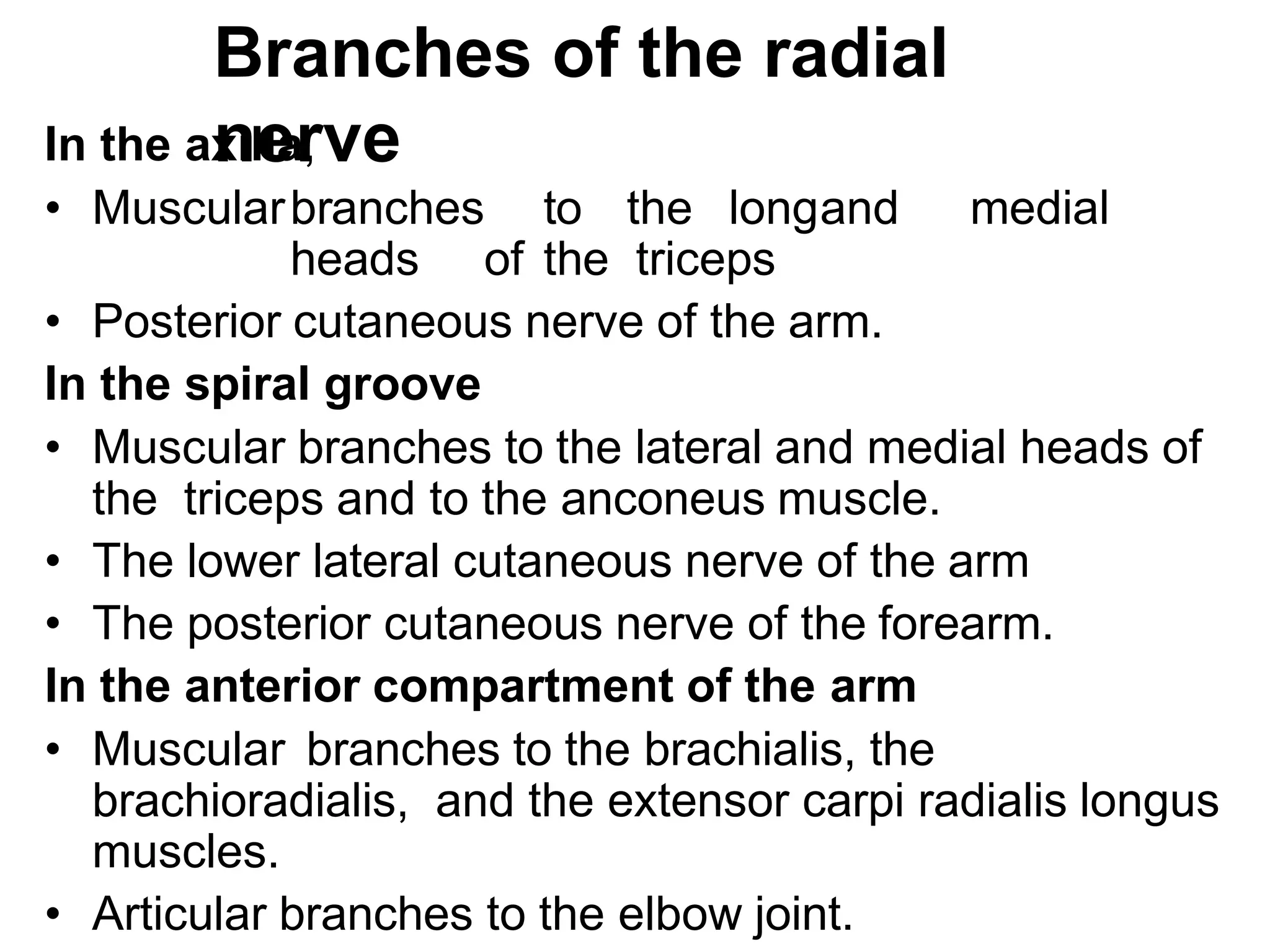 Posterior Compartment of the Arm-converted.pptx