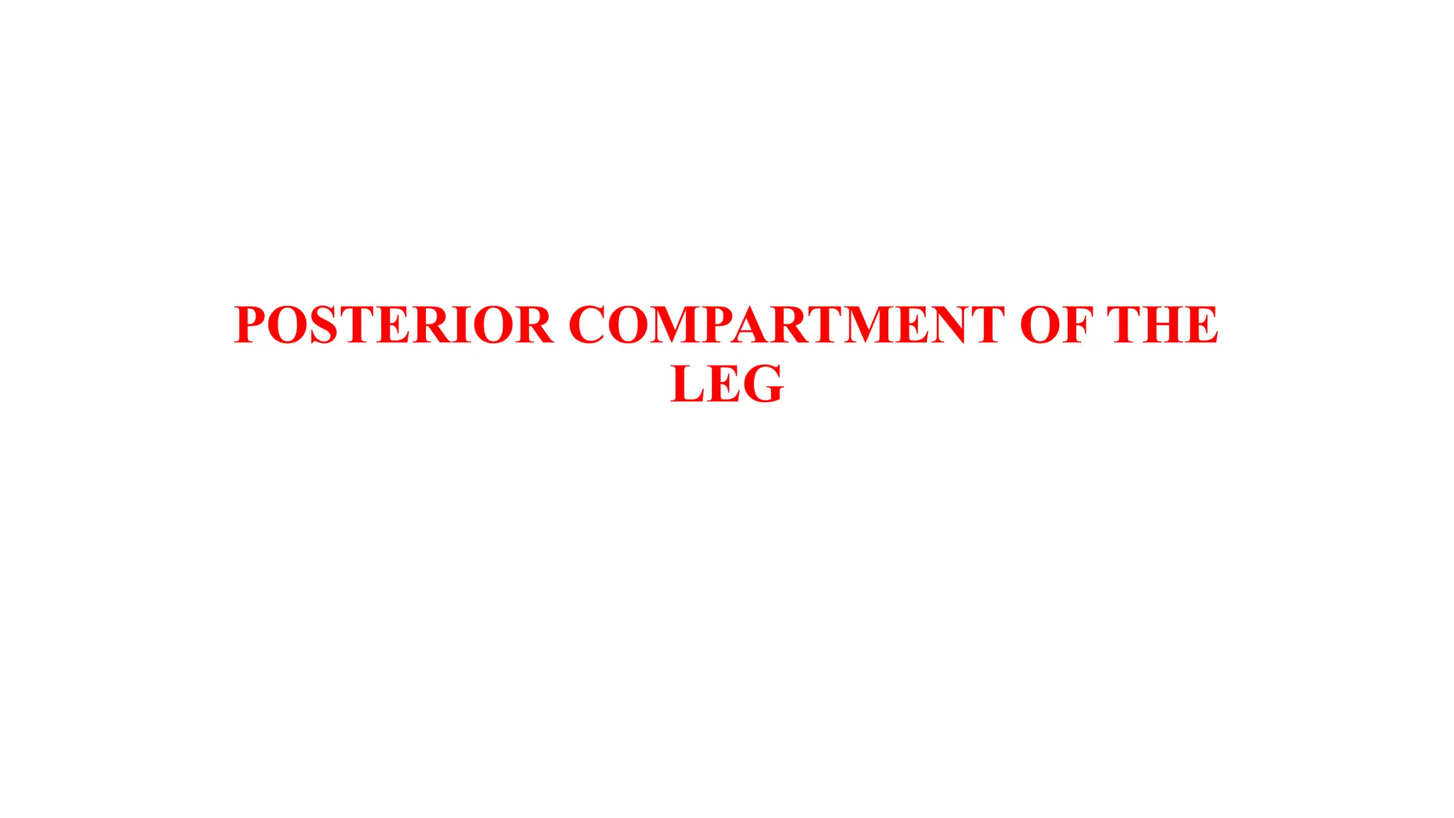 POSTERIOR COMPARTMENT OF THE LEG and cubital fossa | PPTX