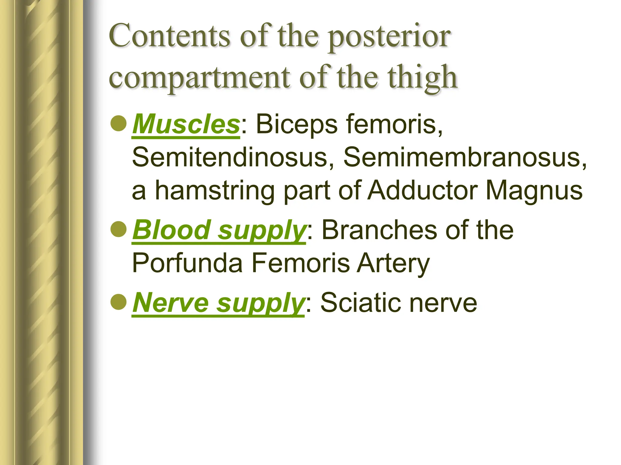 Posterior compartment of the thigh.ppt