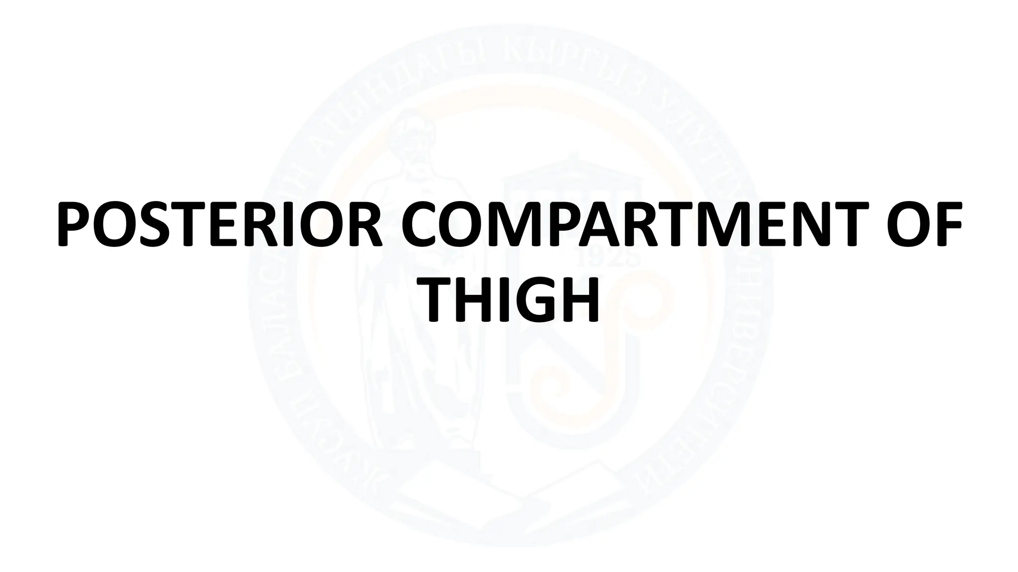Posterior compartment of Thigh.pdf pa of thigh | PDF