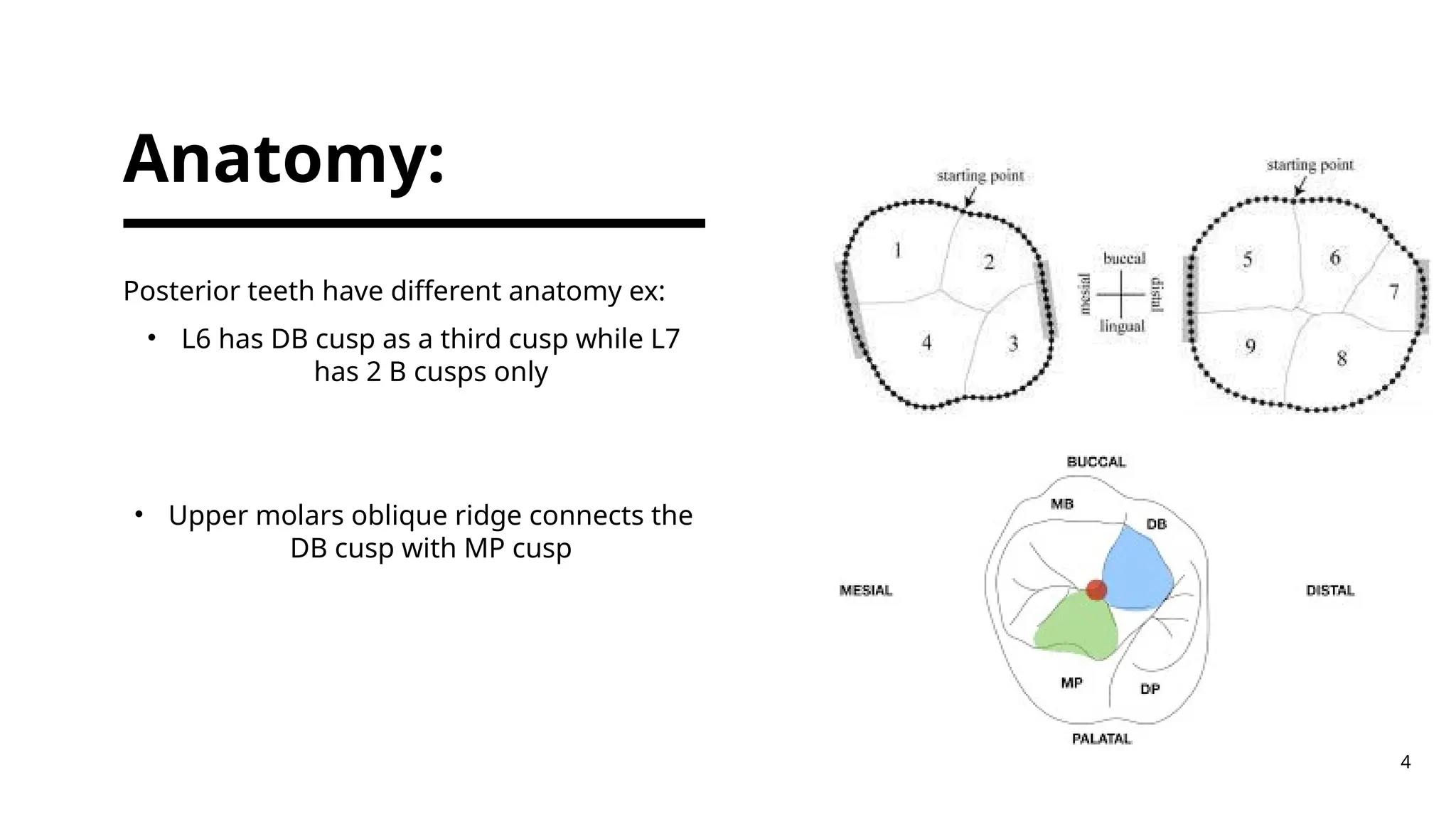 posterior composite.pptx about copmosire | PPTX