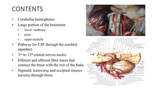 posterior cranial fossa surgery and anaesthesia | PPTX