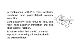 Posterior cruciate ligament injuries.pptx