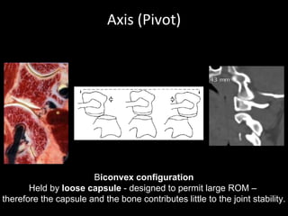 Applied surgical anatomy of the craniovertebral spine | PPTX