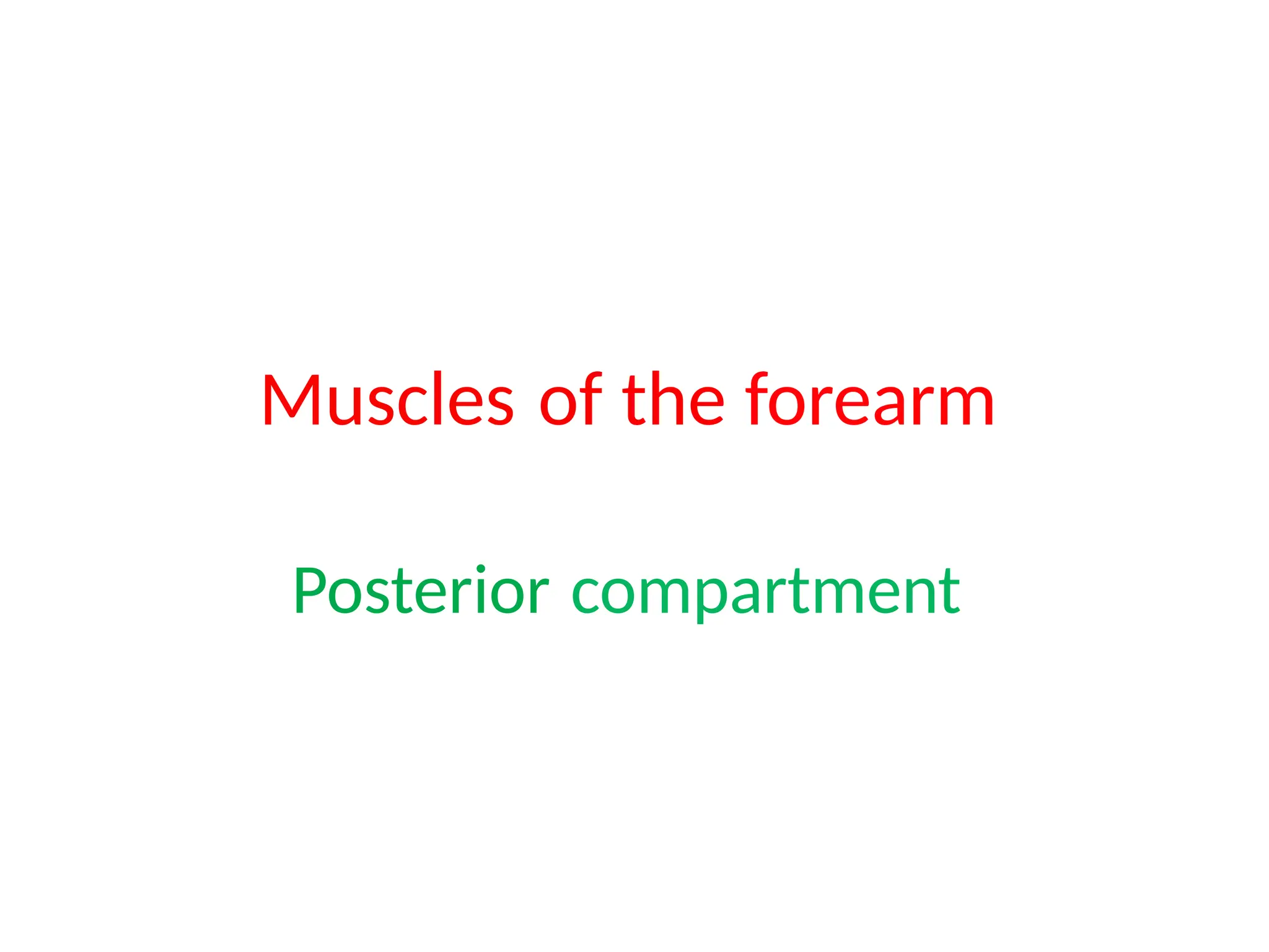 posterior forearm muscle ppt_120106.pptx
