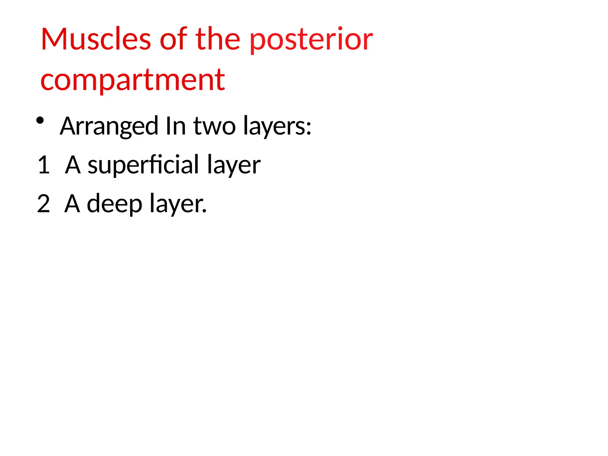 posterior forearm muscle ppt_120106.pptx