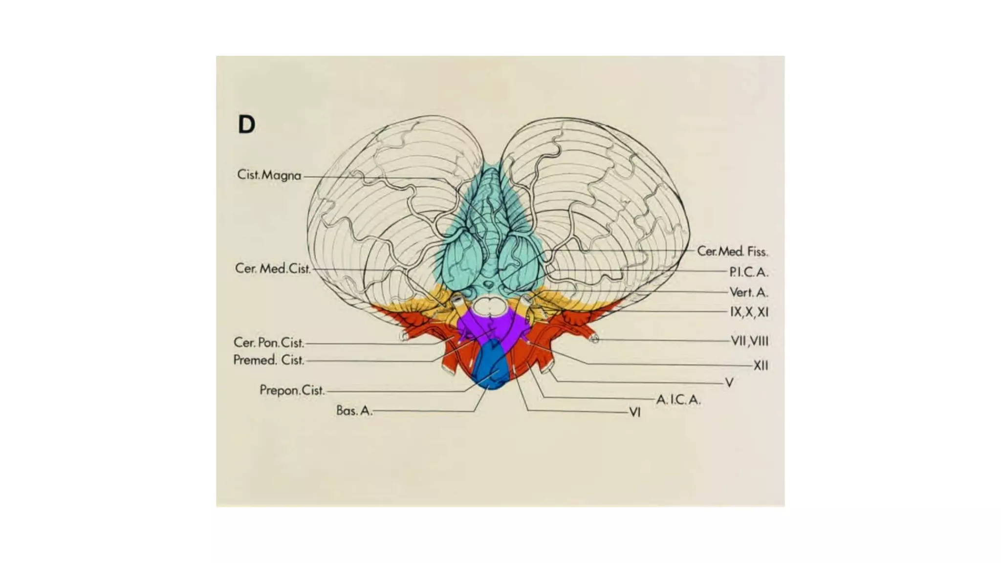POSTERIOR FOSSA CISTERNS.pptx