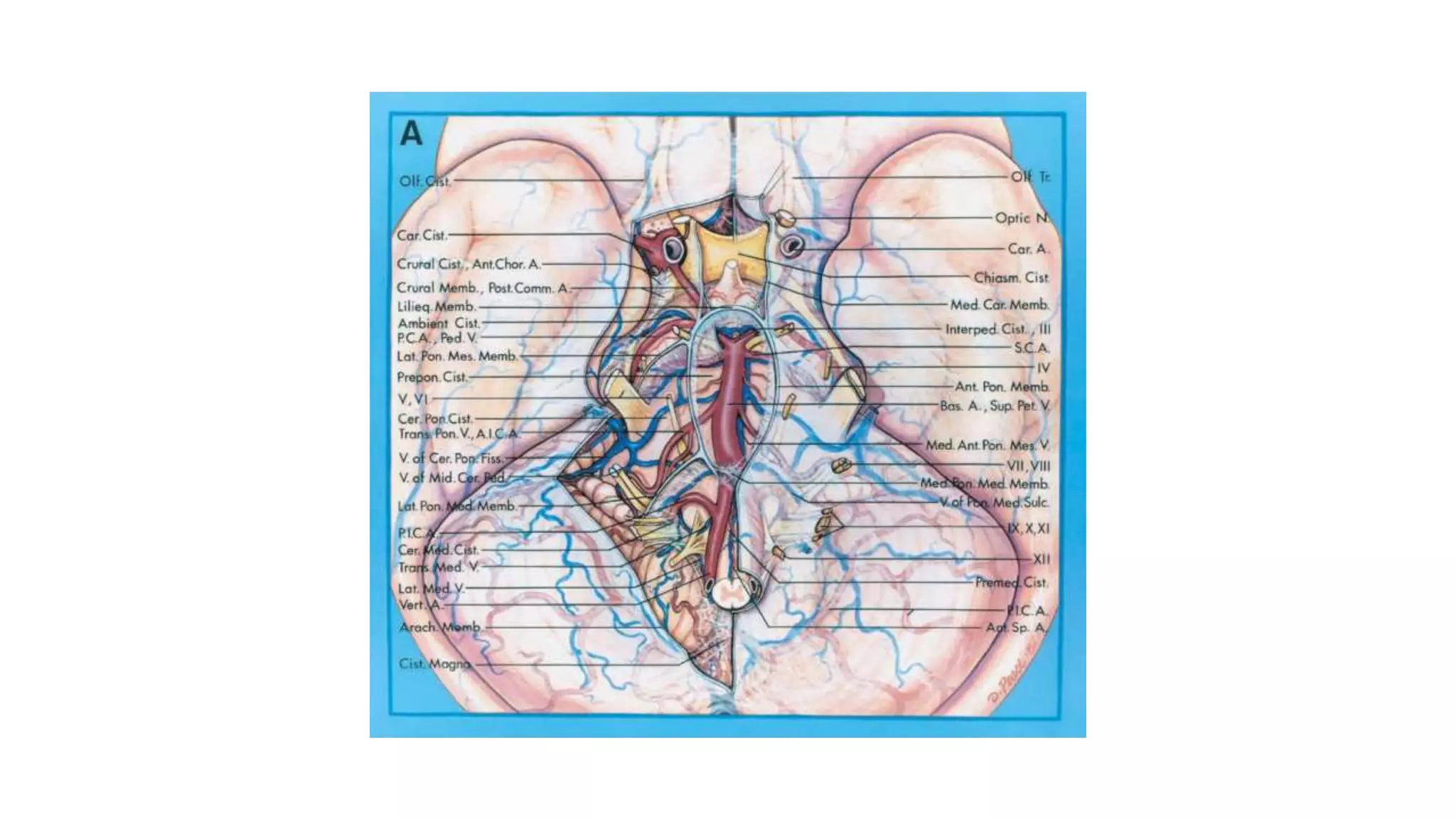 POSTERIOR FOSSA CISTERNS.pptx