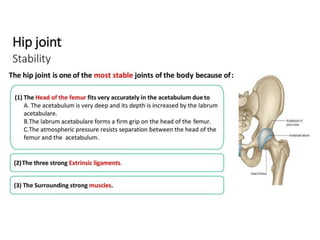 Posteriorhipdislocation | PDF