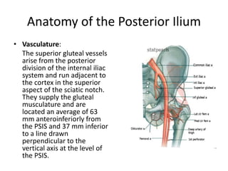 Posterior iliac crest bone graft | PPT | Death, Injury, or Military ...