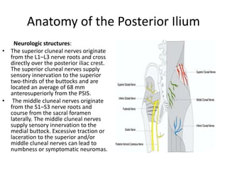 Posterior iliac crest bone graft | PPT | Death, Injury, or Military ...