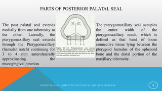 POSTERIOR PALATAL SEAL. importance ,funtion,parts,anatomic and ...