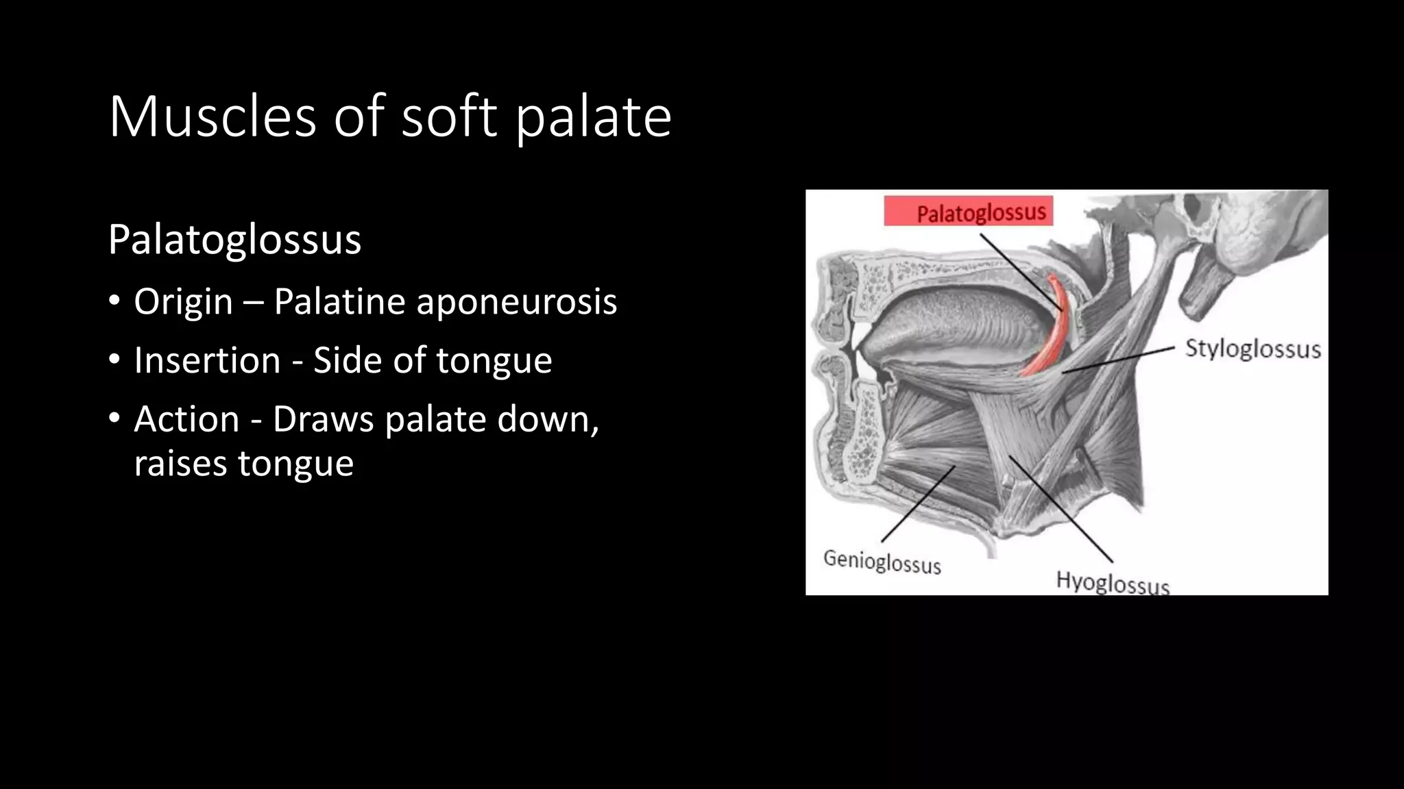 Posterior Palatal Seal | PPTX