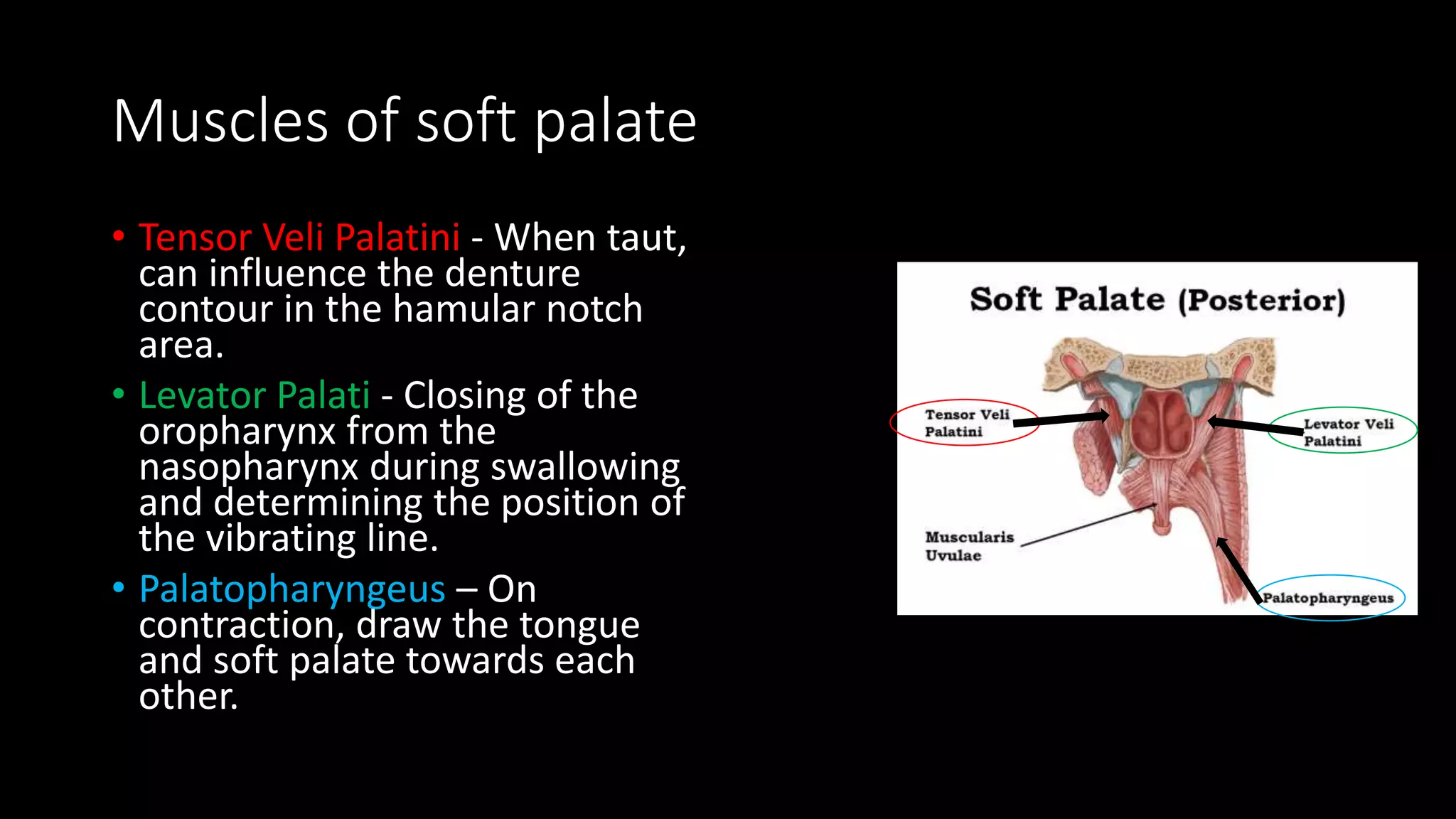 Posterior Palatal Seal | PPTX