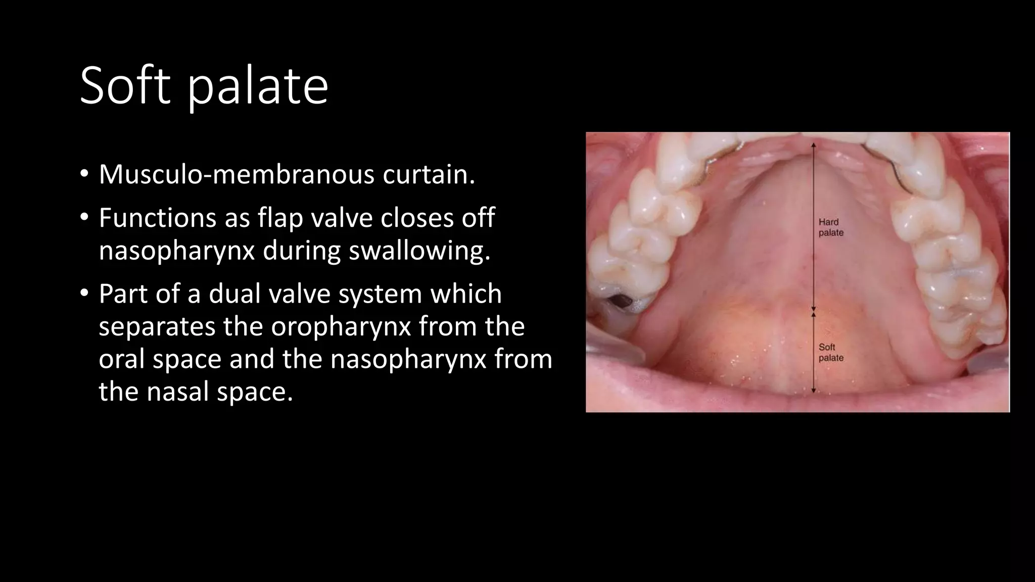 Posterior Palatal Seal | PPTX