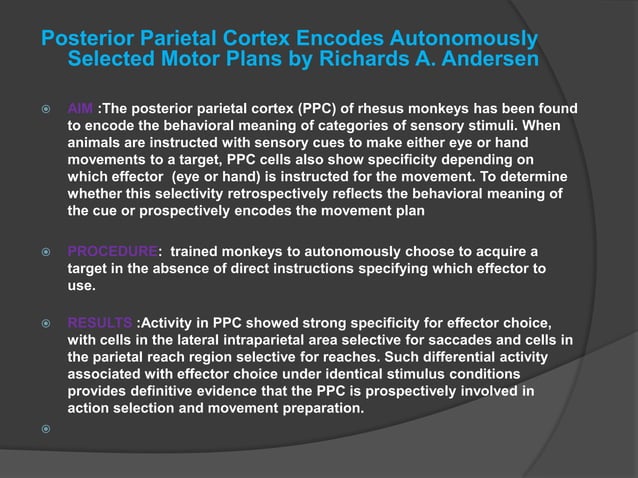 Posterior Parietal Cortex! | PPT