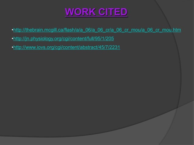 Posterior Parietal Cortex! | PPT